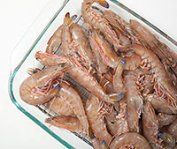 What is the correct handling of shrimps?