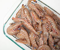 What is the correct in handling shrimp?