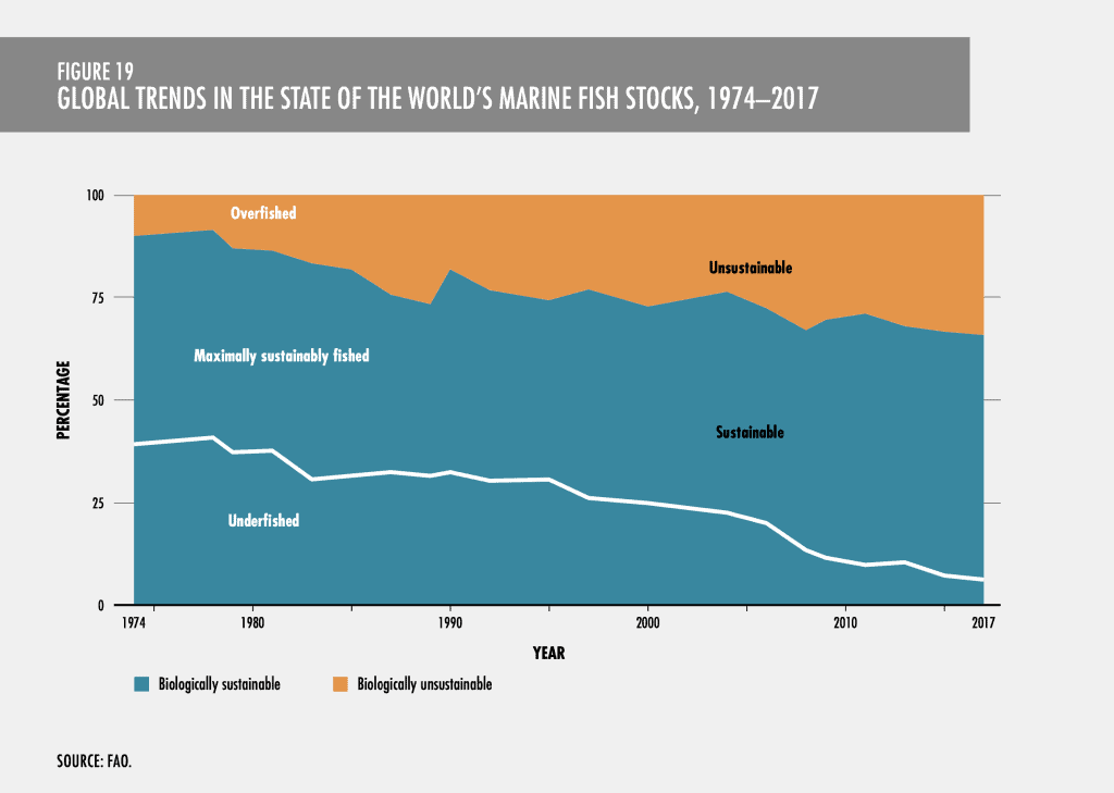 What is the current state of the world's fisheries?