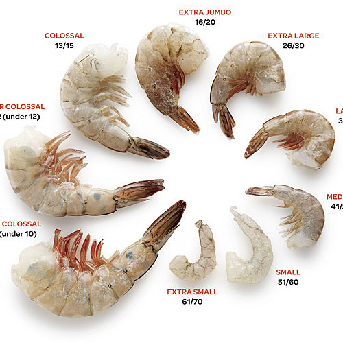 What is the difference between 16/20 and colossal shrimp?