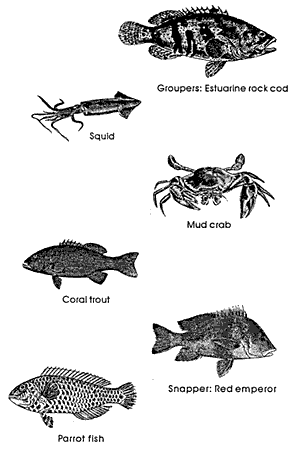 What is the difference between a crab and a fish?