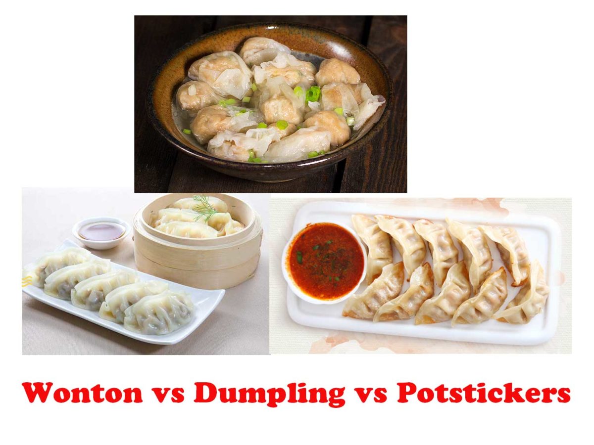 What is the difference between a wonton and a Potsticker?