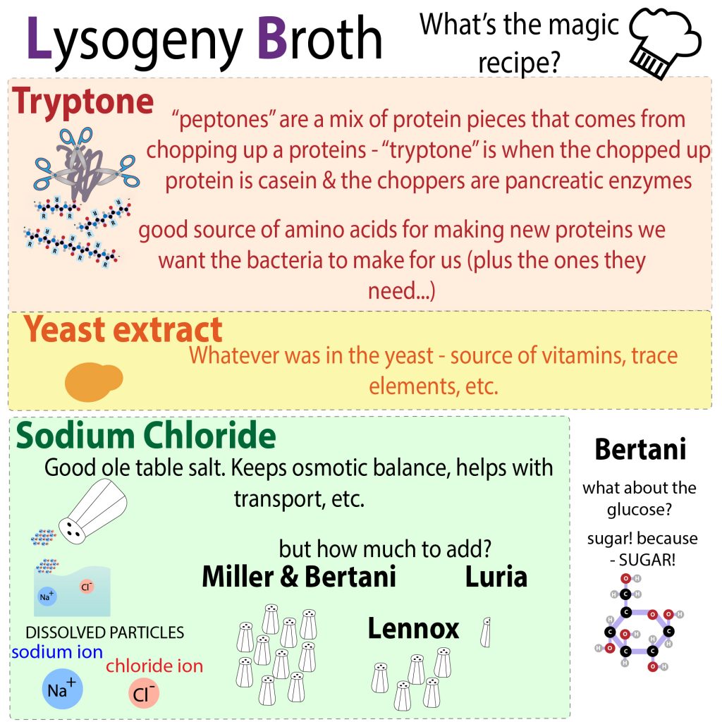 What is the difference between agar and LB agar?