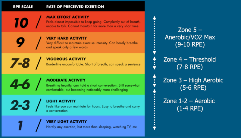 What is the difference between an easy run and a recovery run?