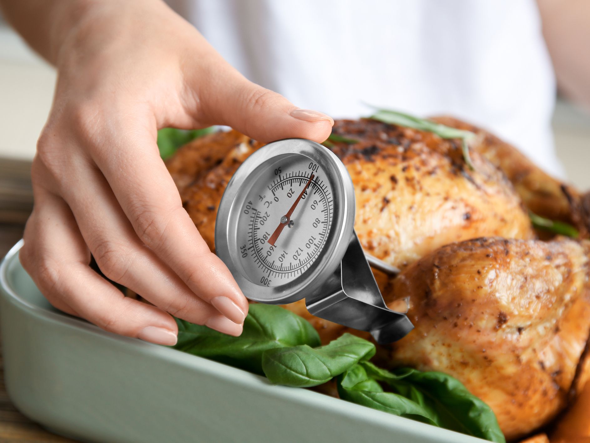 What is the difference between an instant-read thermometer and a meat thermometer?