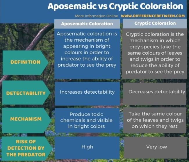 What is the difference between Aposematic and cryptic coloration?