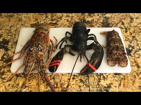 What is the difference between Atlantic and Pacific lobster?