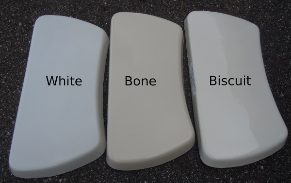 What is the difference between biscuit and bone color?