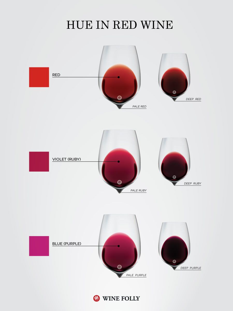 What is the difference between burgundy and red wine?