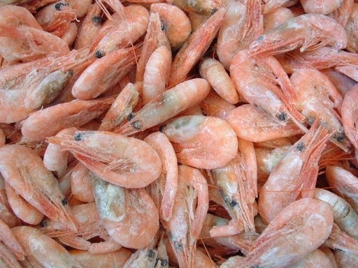 What is the difference between cold water and warm water prawns?