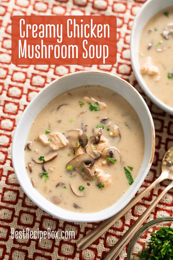 What is the difference between cream of chicken and cream of mushroom soup?