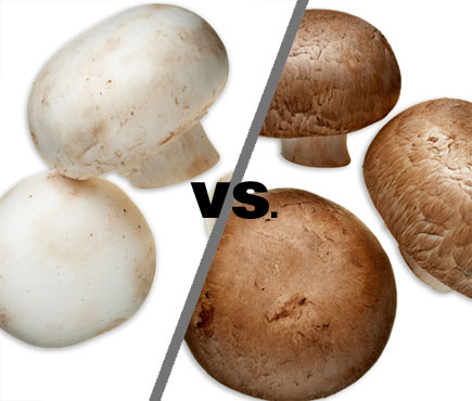 What is the difference between cremini mushrooms and white button mushrooms?