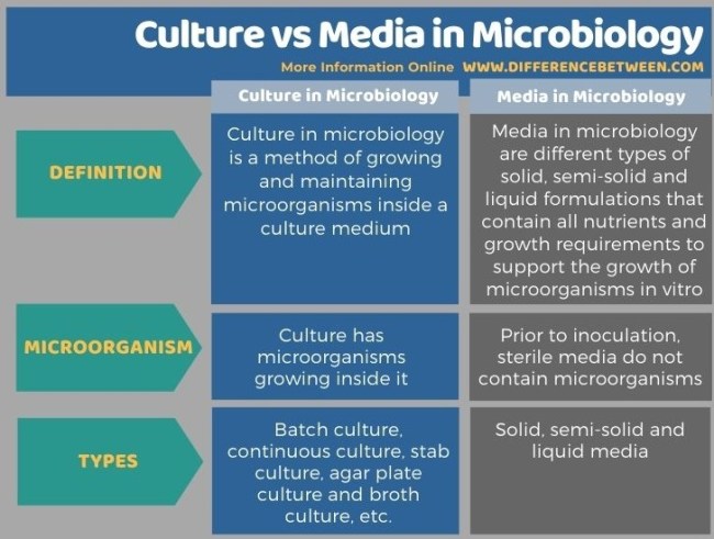 What is the difference between culture and media in microbiology?