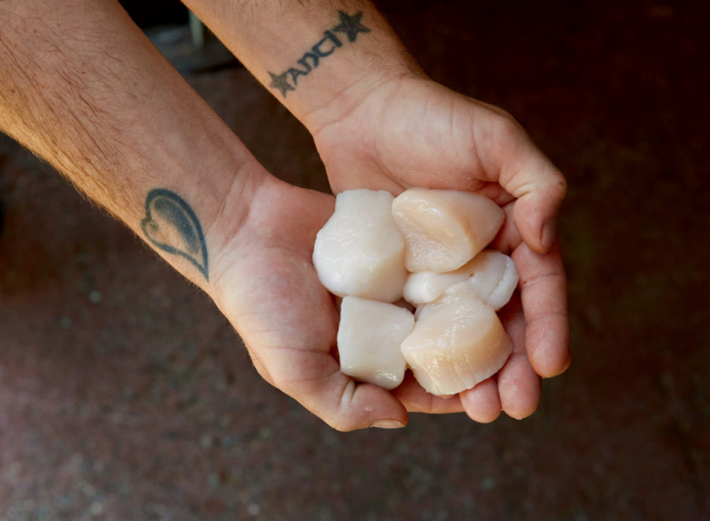 What is the difference between diver scallops and sea scallops?