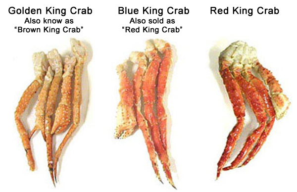 What is the difference between golden king crab and red king crab?