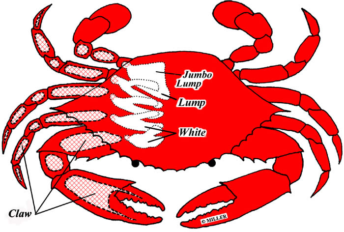 What is the difference between lump crab and jumbo crab?