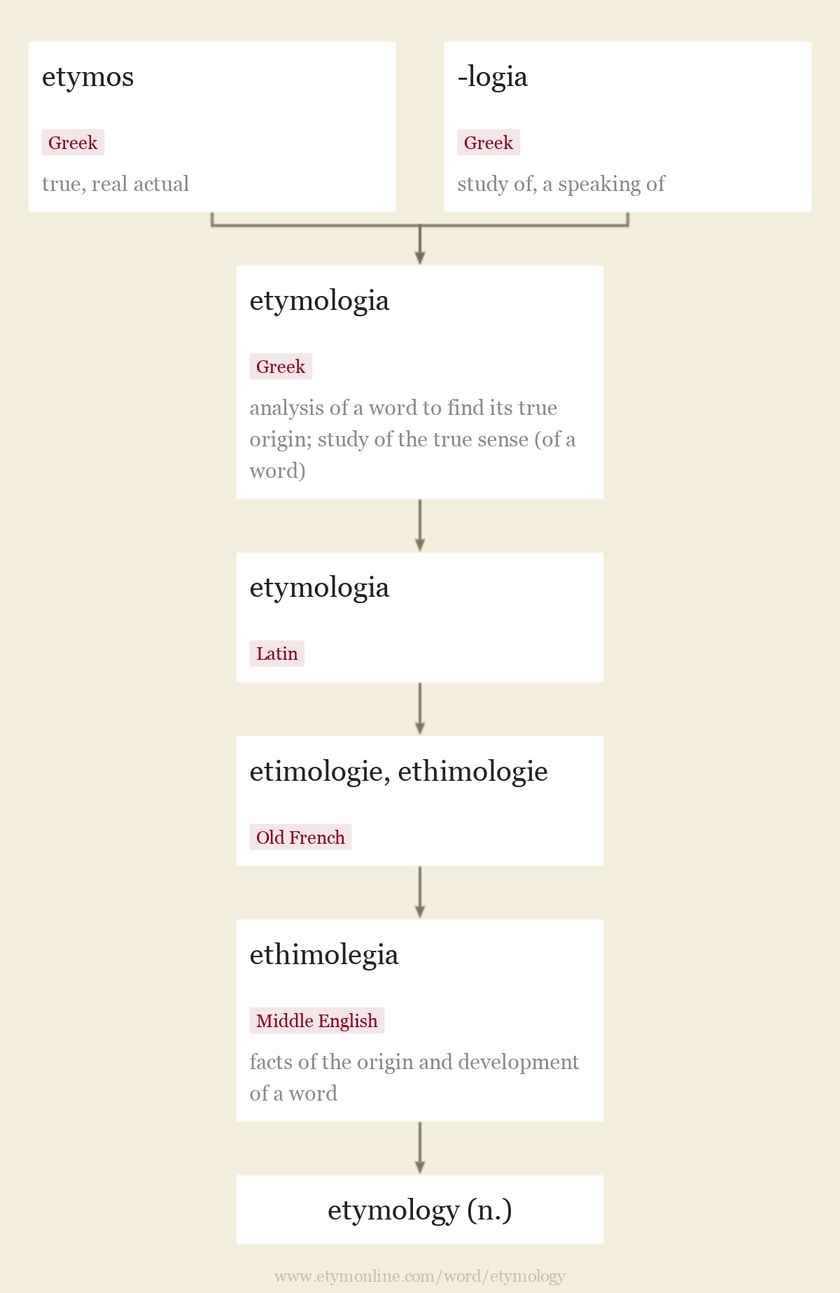 What is the difference between origin and etymology?