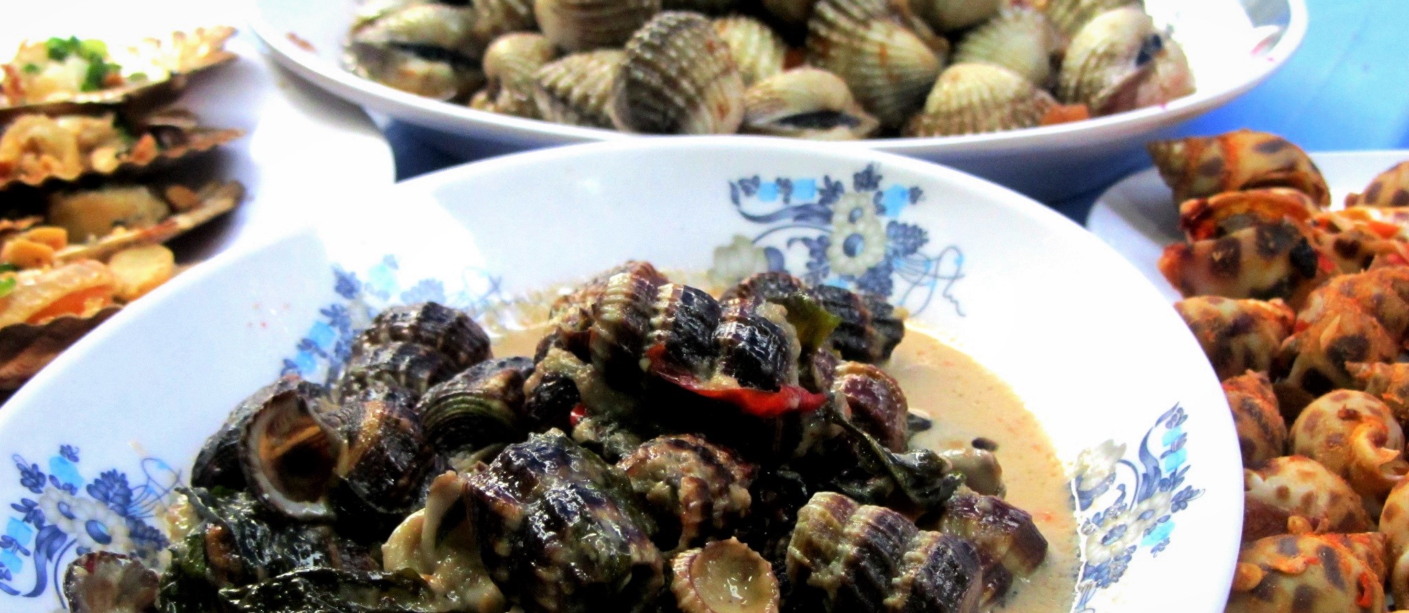 What is the difference between snails and shellfish?