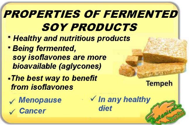 What is the difference between soy and fermented soy?
