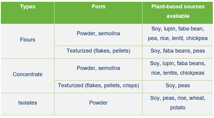What is the difference between soy protein and plant protein?