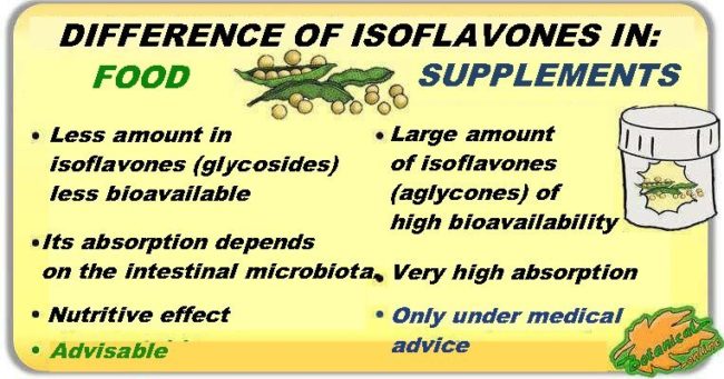What is the difference between soya foods and soya food supplements?