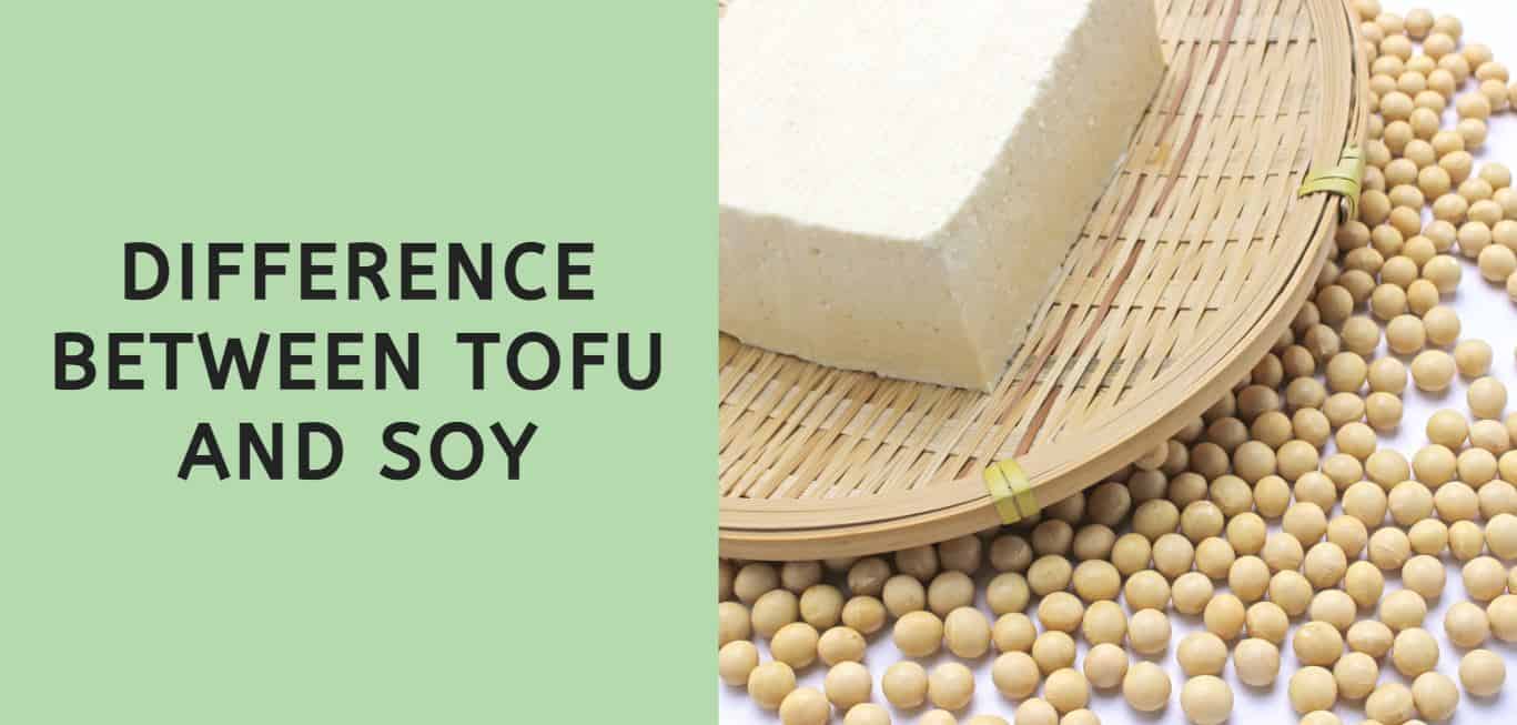 What is the difference between soya milk and tofu?