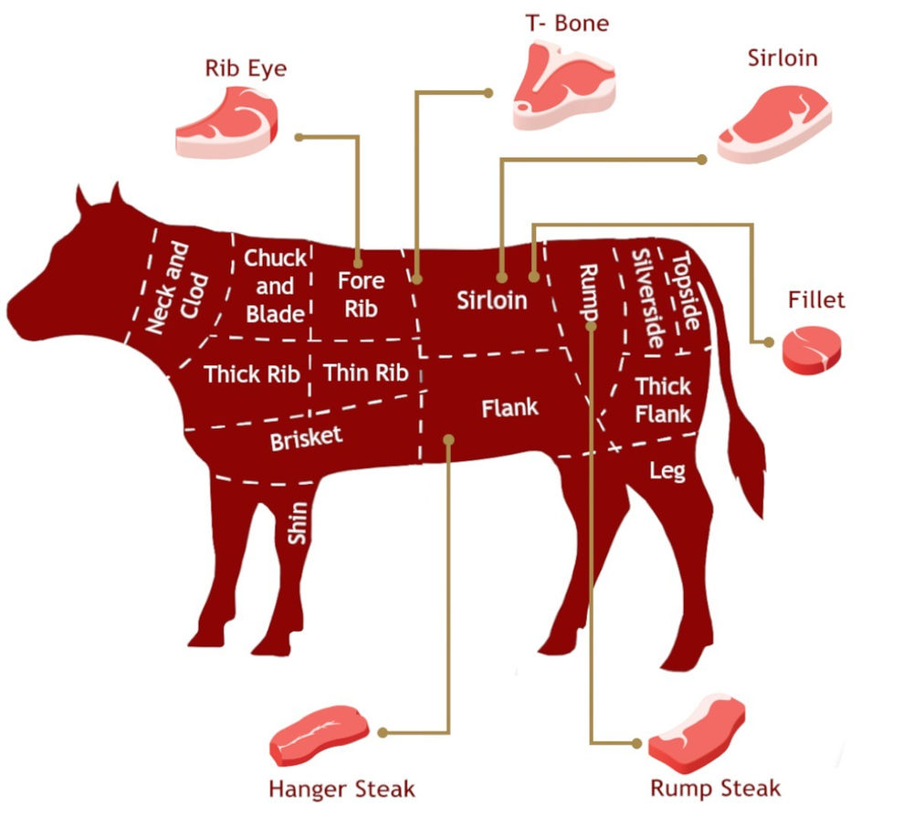 What is the difference between steak and fillet?