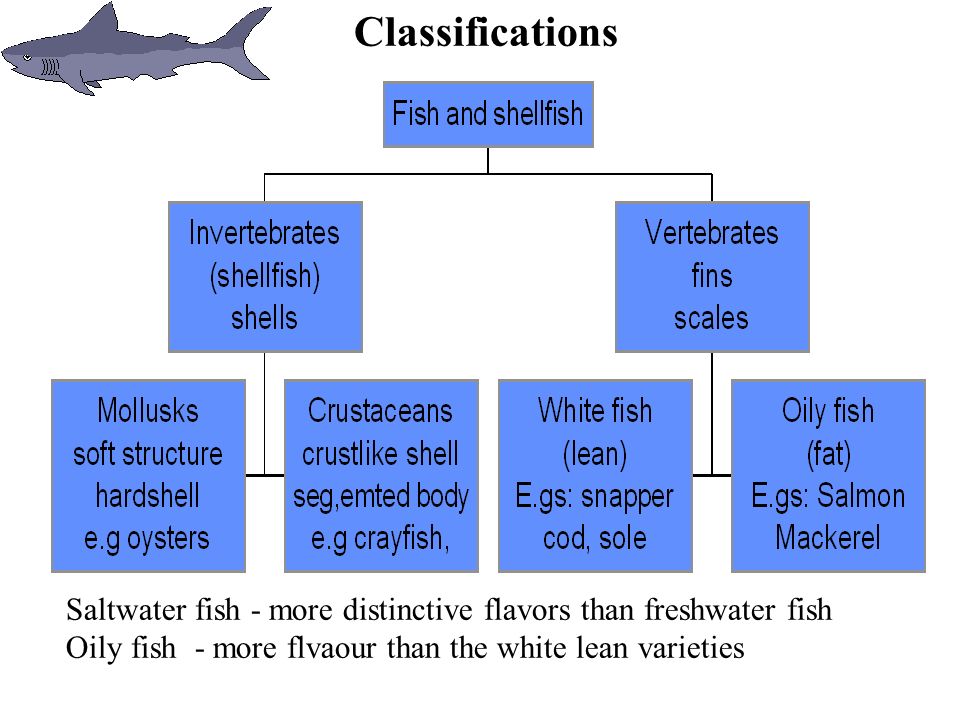 What is the difference between the classification of fish and shellfish?