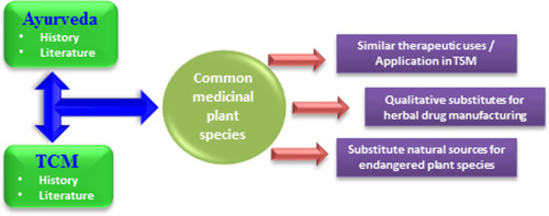 What is the difference between traditional Chinese medicine and Ayurveda?