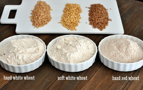 What is the difference between white and red whole wheat flour?