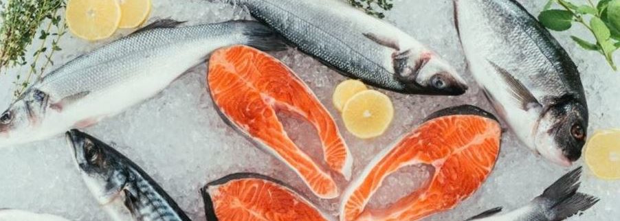 What is the difference between whitefish and salmon?