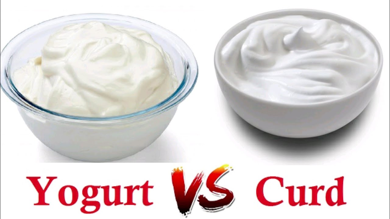 What is the difference between yogurt and curd?
