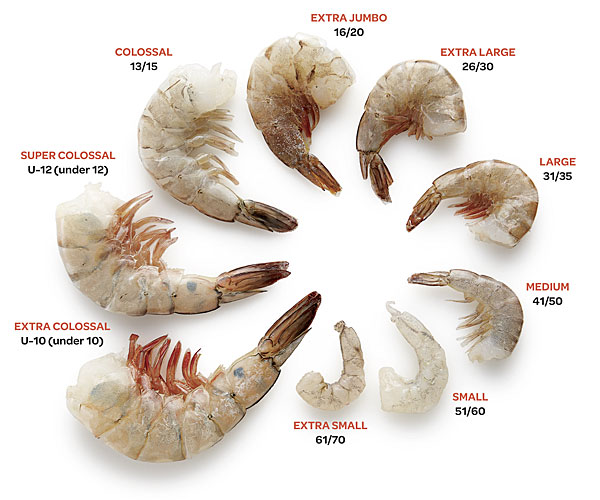 What is the difference in shrimp sizes?