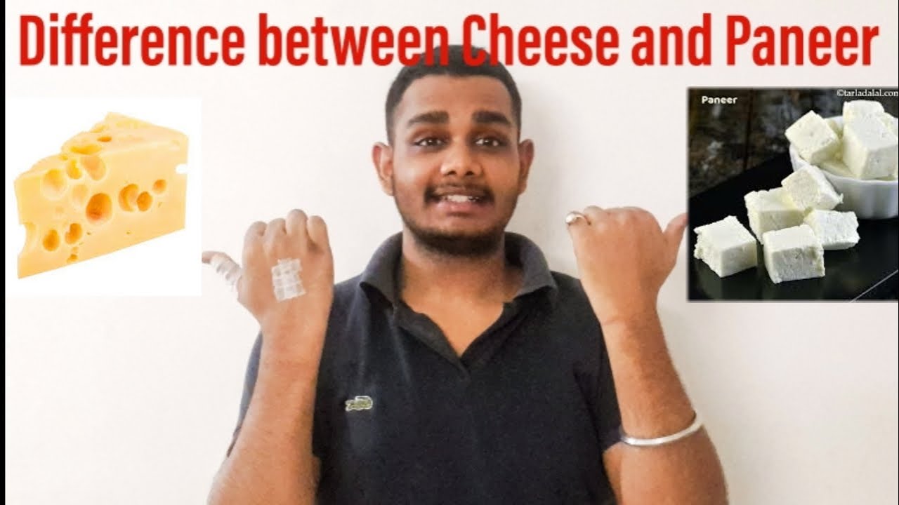 What is the different between cheese and paneer?