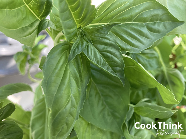 What is the dried equivalent of 1/3 cup fresh basil?