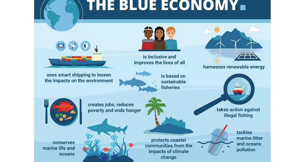 What is the economic importance of the marine environment?