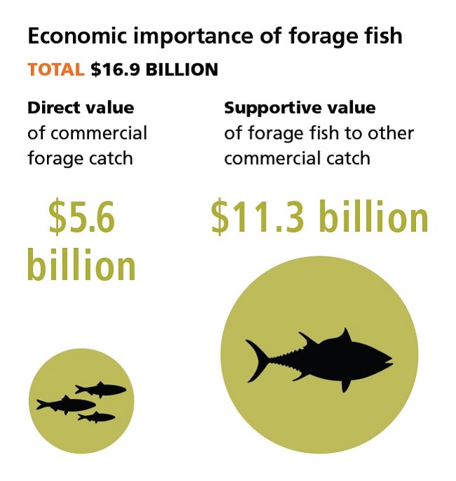 What is the economic value of fish?