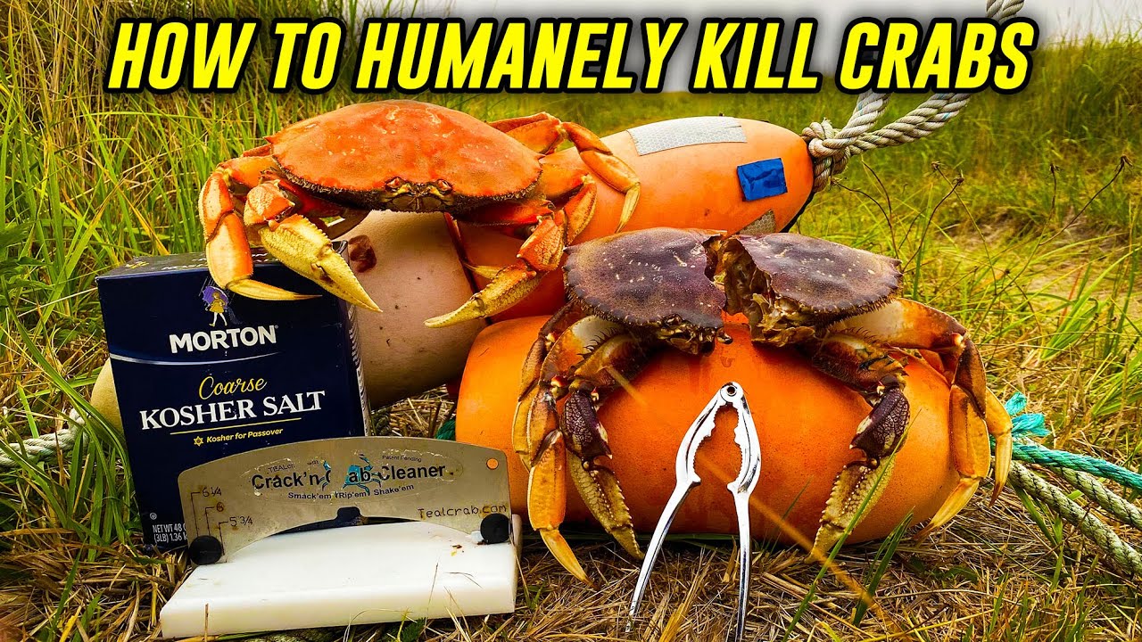 What is the fastest way to cure crabs?