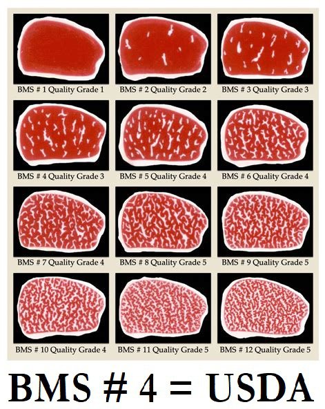 What is the fattiest cut of steak?