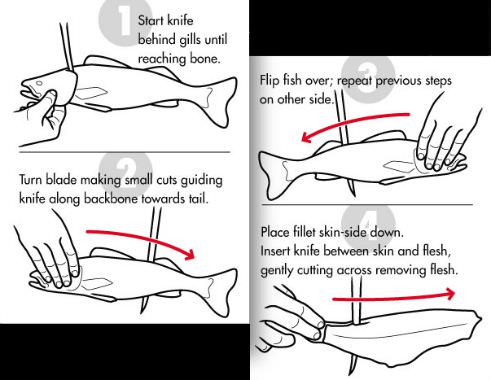 What is the final step of filleting fish?