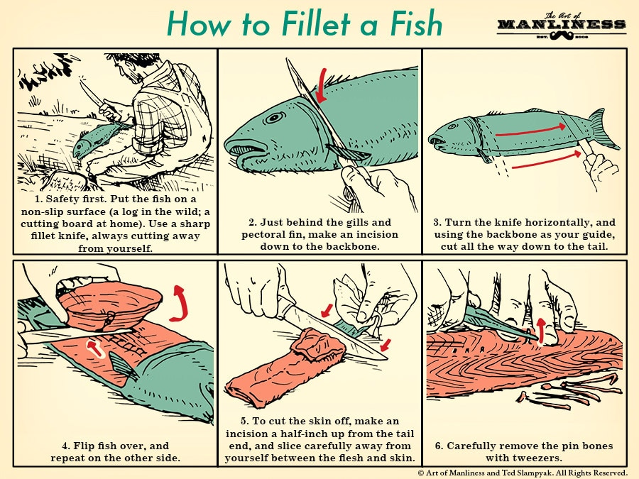 What is the first thing you remove when filleting a fish?