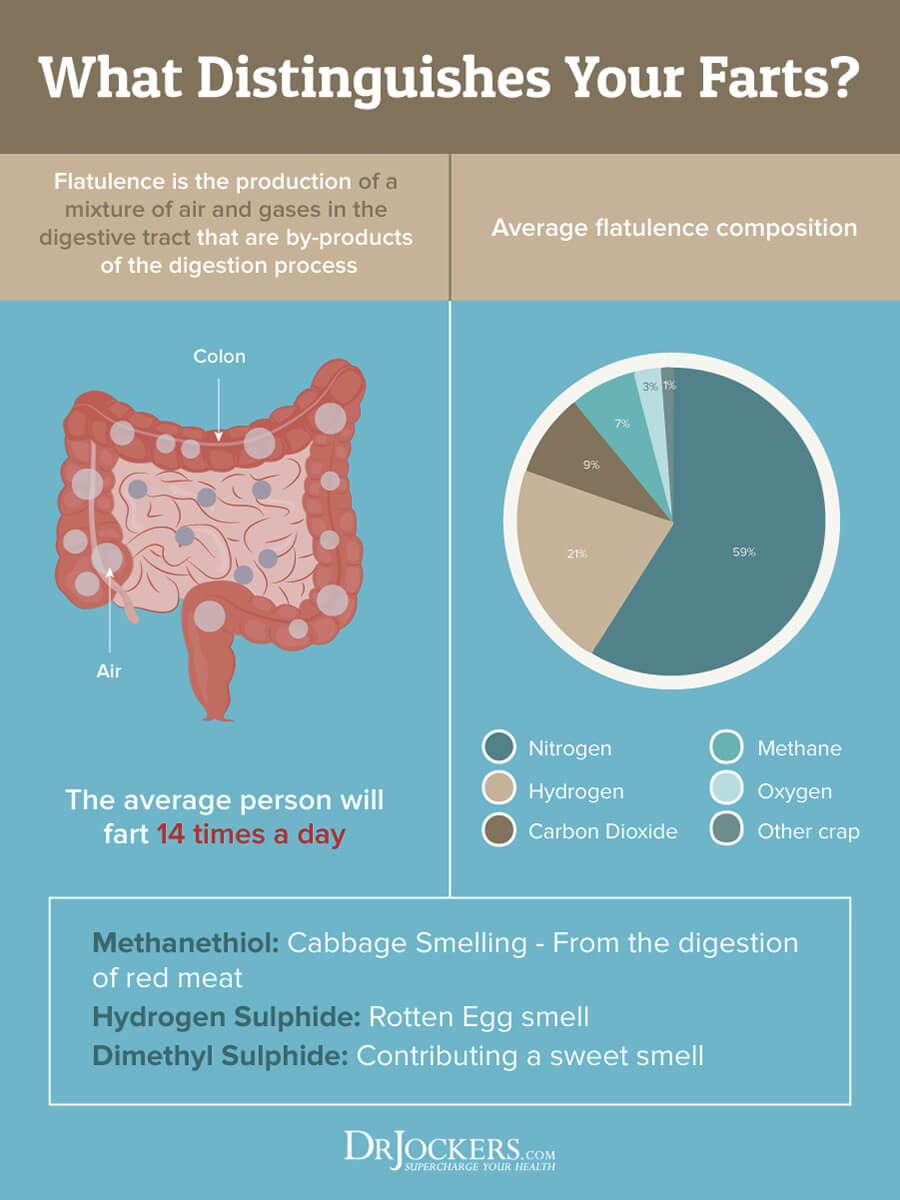 What is the flatulence gas?