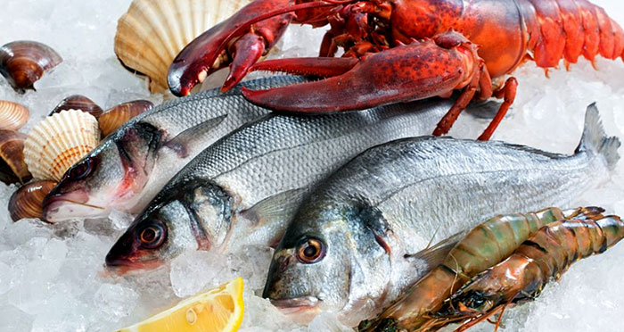 What is the food of fish in sea?