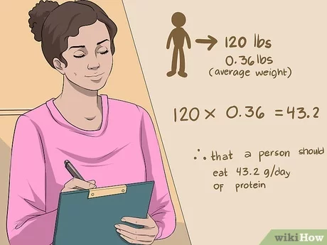 What is the formula to calculate protein needs?