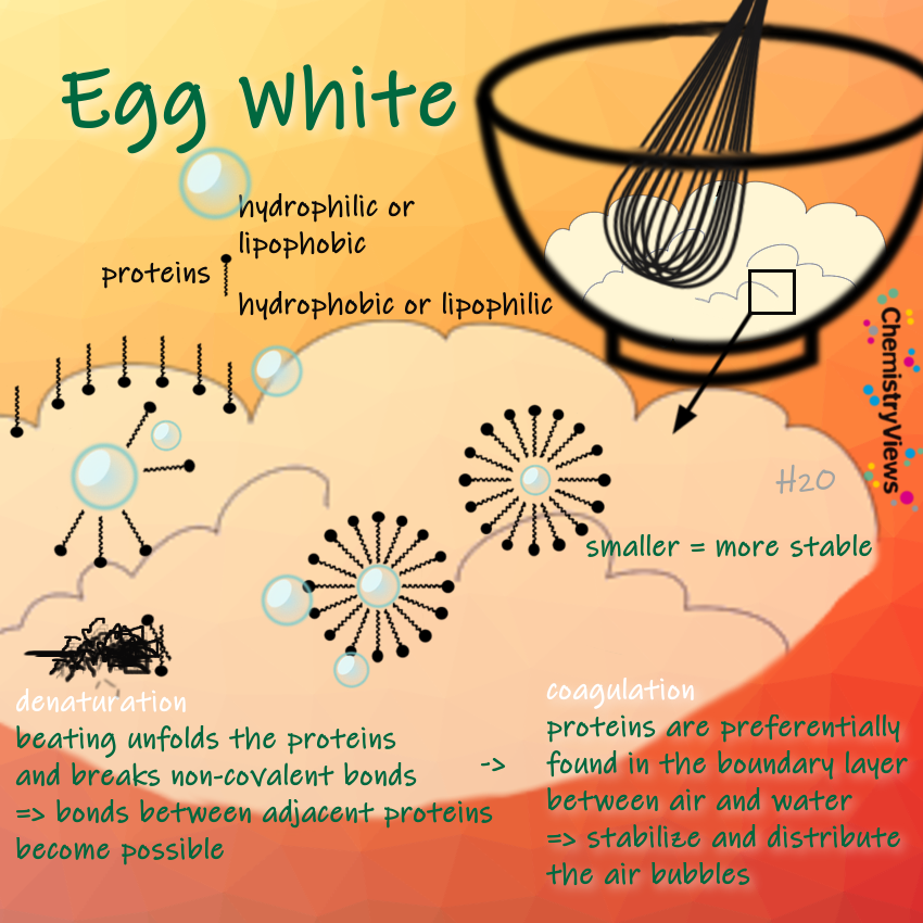 What is the function of egg white in Clearmeat?