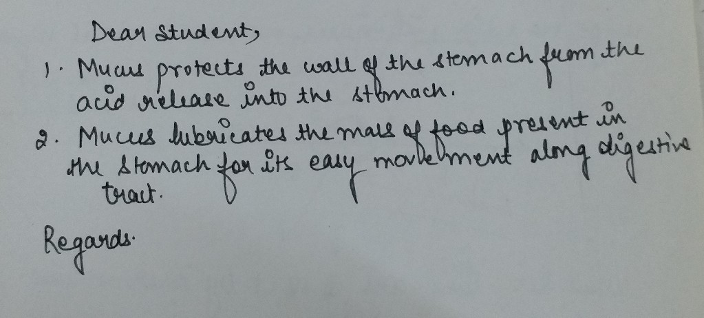 What is the function of mucus Class 7?