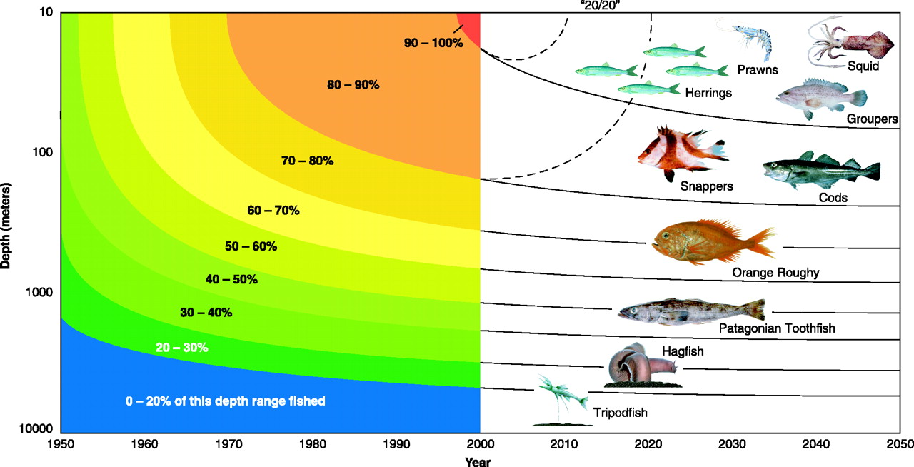 What is the future of fisheries?