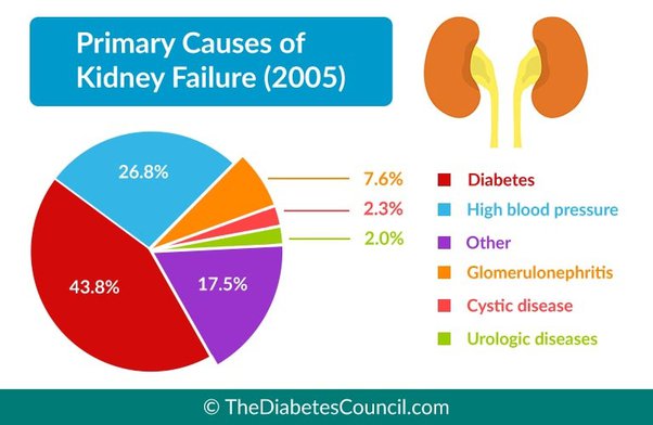 What is the greatest cause of kidney failure?
