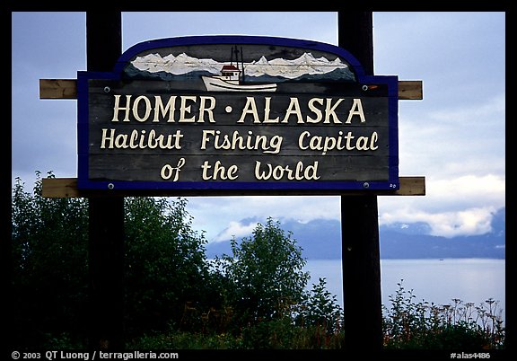 What is the halibut fishing capital of the world?