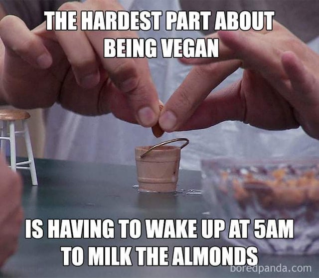 What is the hardest part of going vegan?